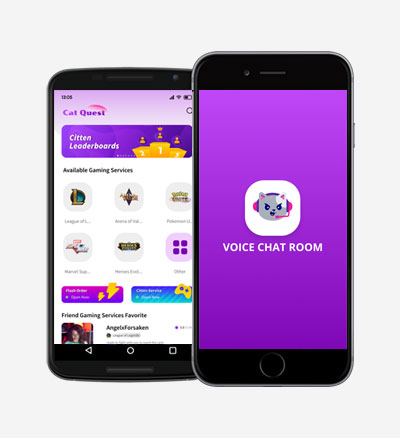 Our Mobile App & Web Development Portfolio | Strivemindz
